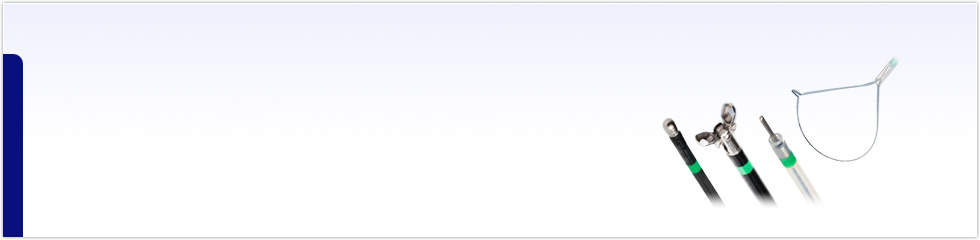 Electrosurgery | Bronchoscopy | Pulmonology | Products | Olympus ...